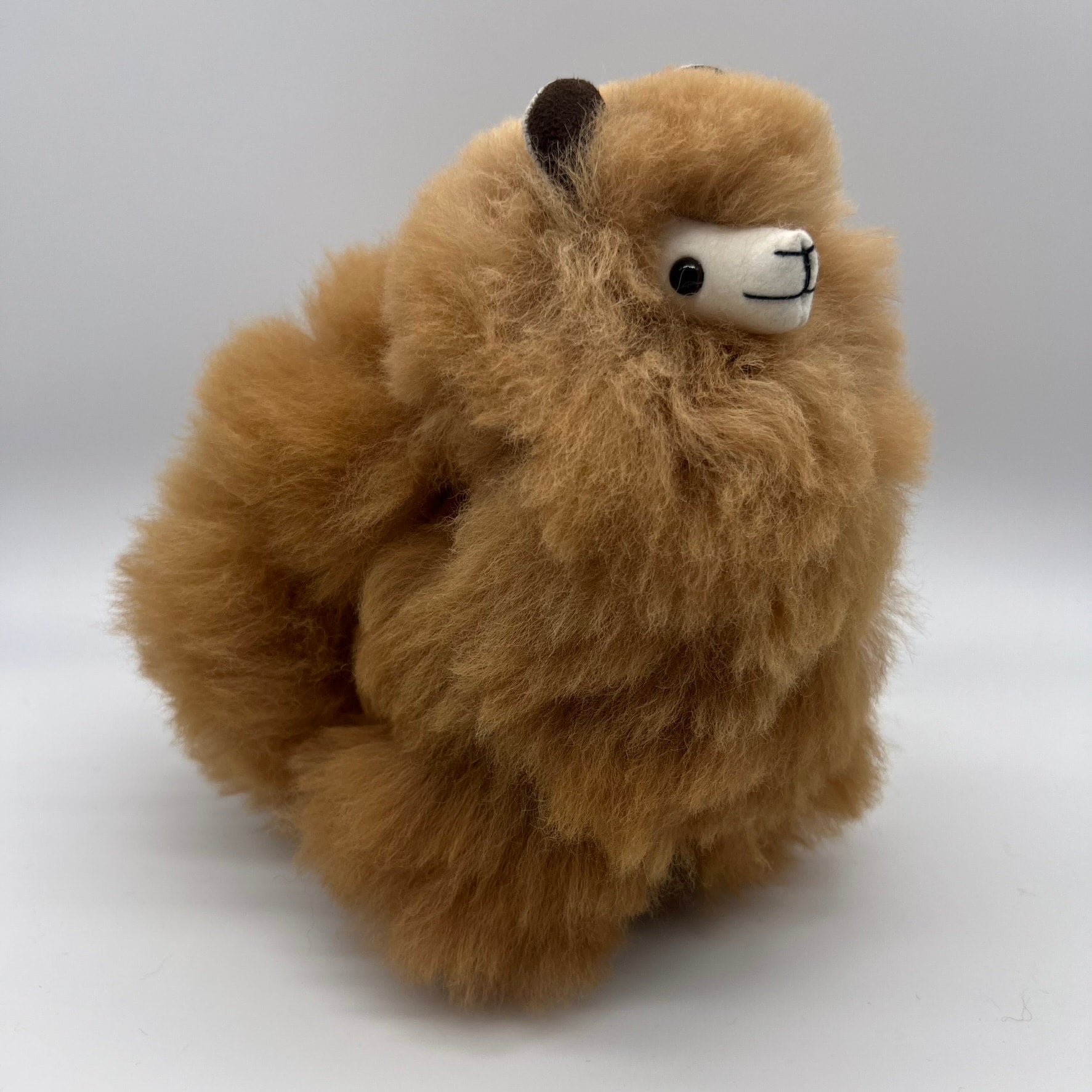 Lucky Alpacas (Medium) | Experience The Softness!