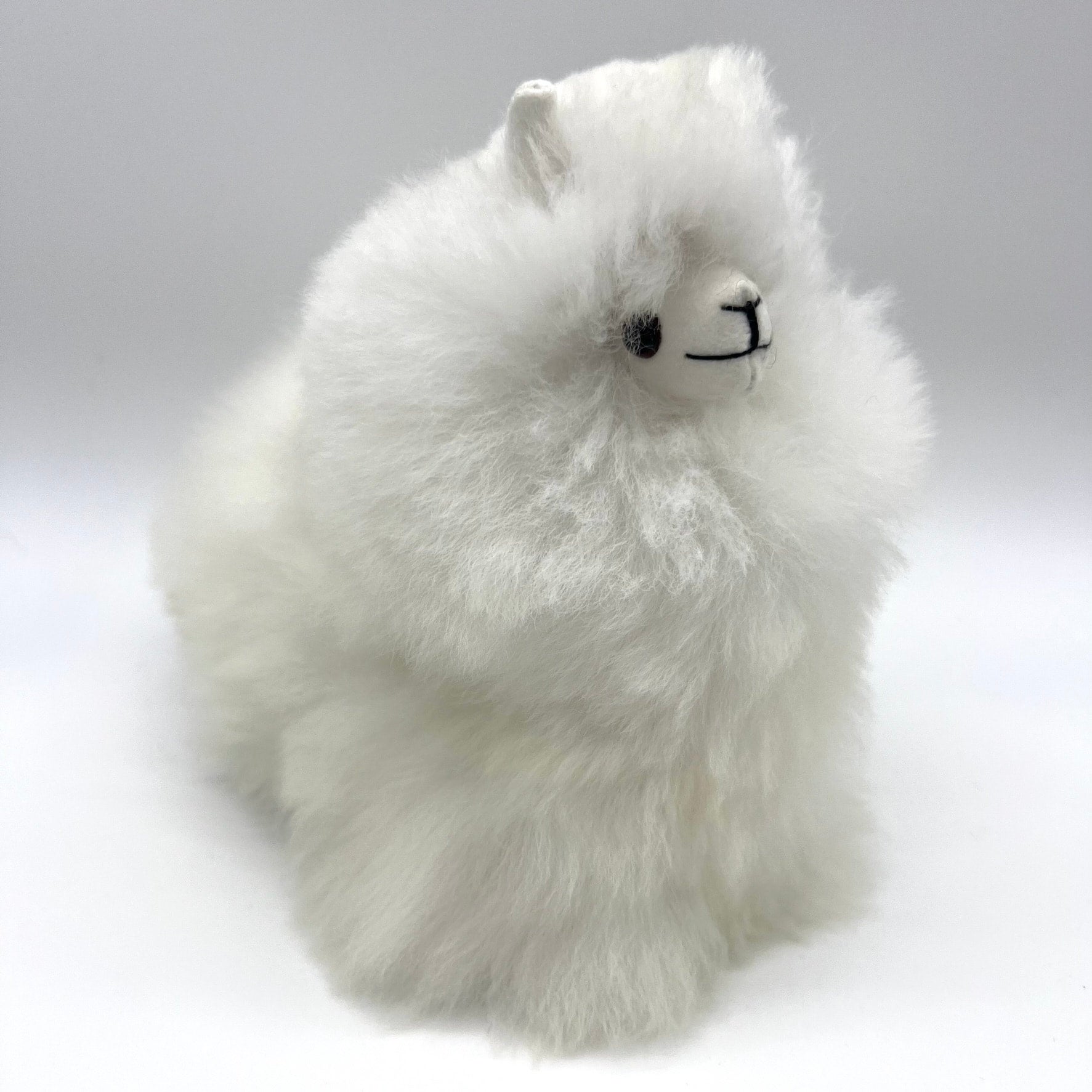 Lucky Alpacas (Small) | Experience The Softness!