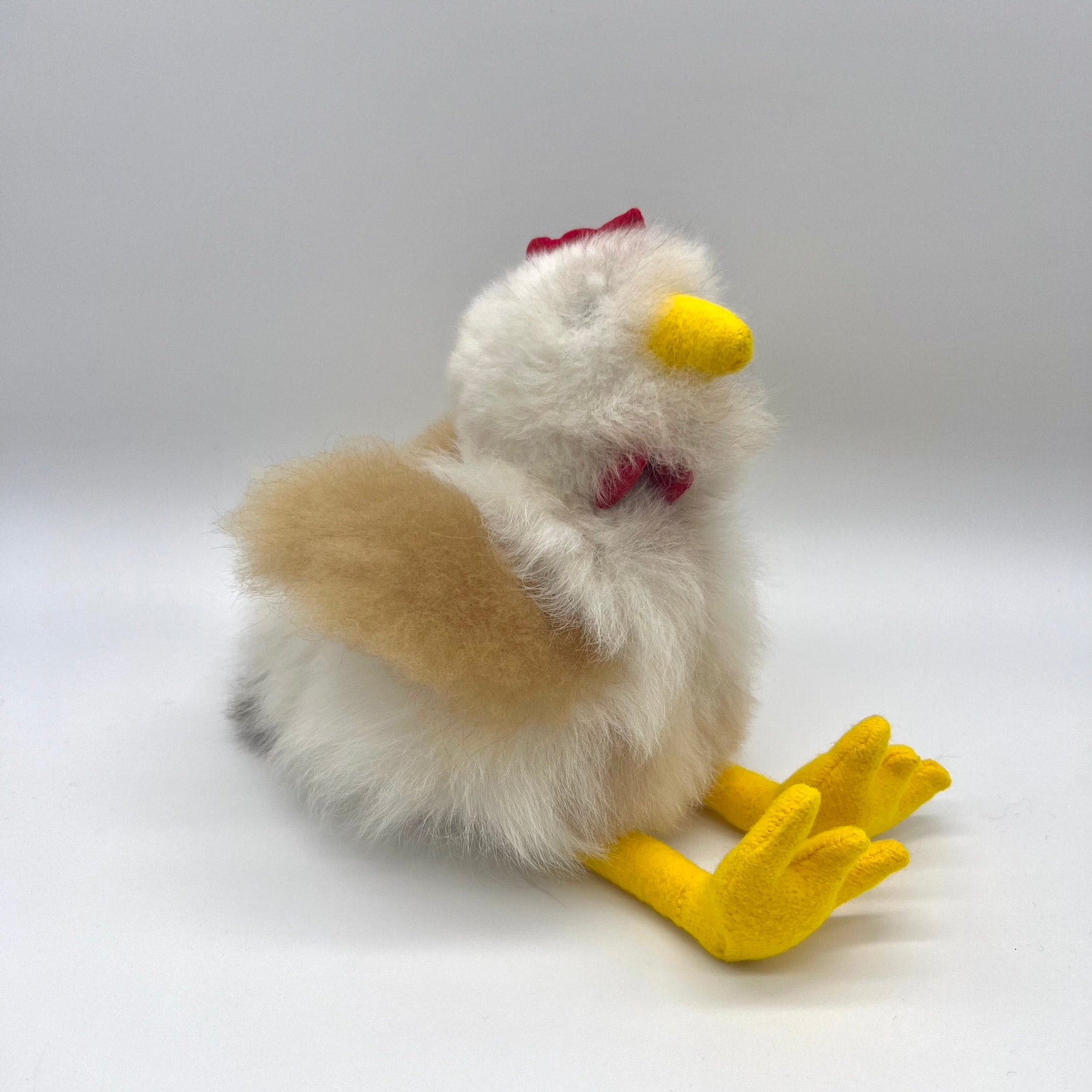 Lucky Chickens | Home of The Lucky Cuy